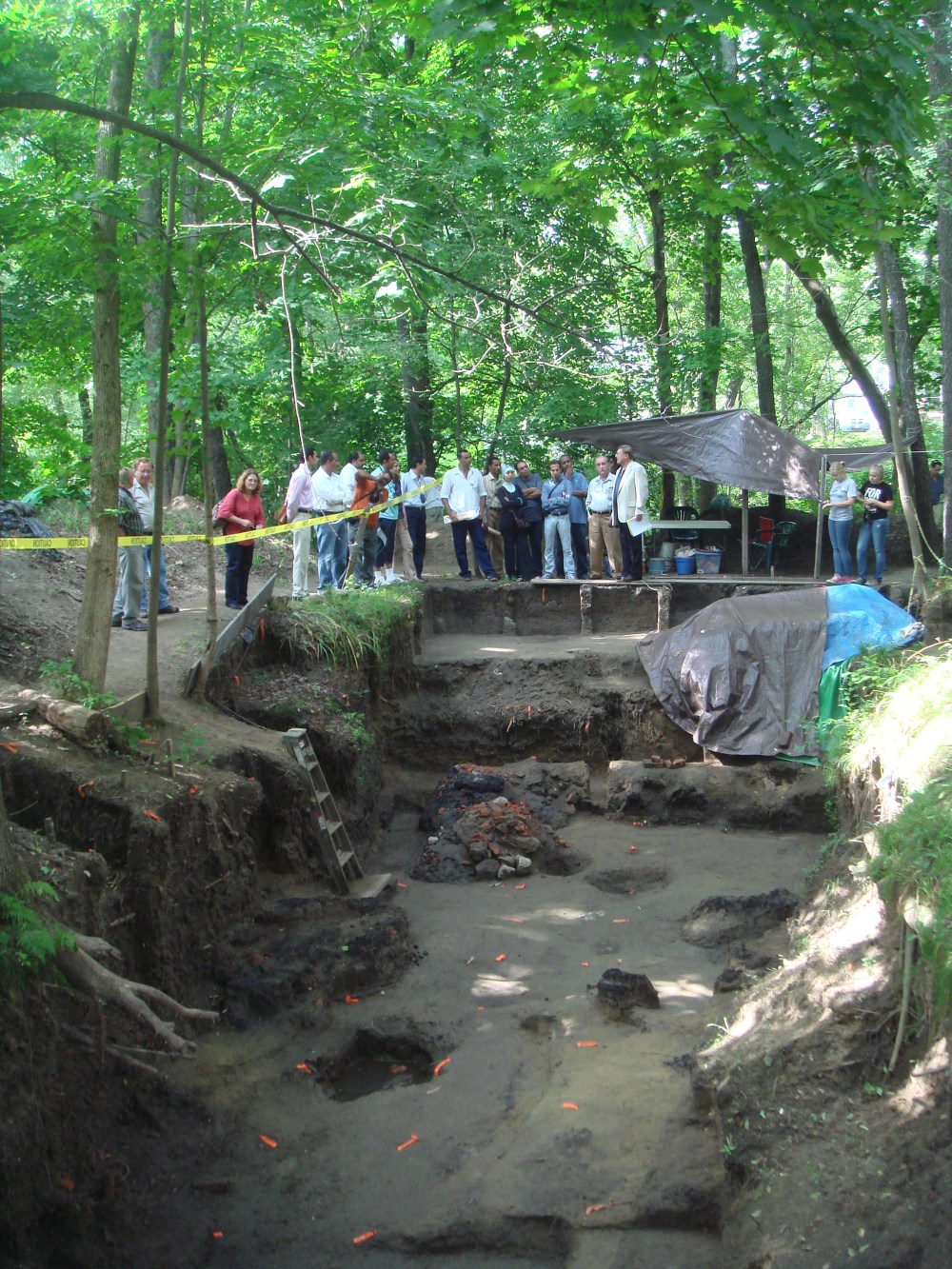 Now you know all the secrets. Archeologist David Starbuck, 1949-2020 ...